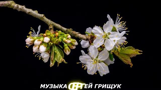 Музыка Для Души ,,ТРИ ЖЕЛАНИЯ ,, Музыка  Сергей Грищук