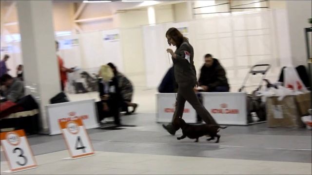 Yavnaja Favoritka Iz Strani Grez