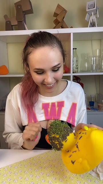 Живая причёска утки