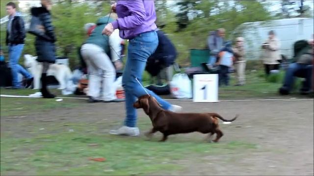 Javnaja Favoritka Iz Strani Grez (8 vonths)