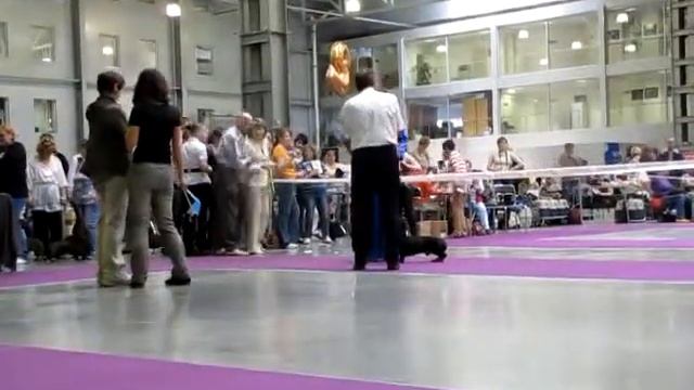 Номер Один из Страны Грез