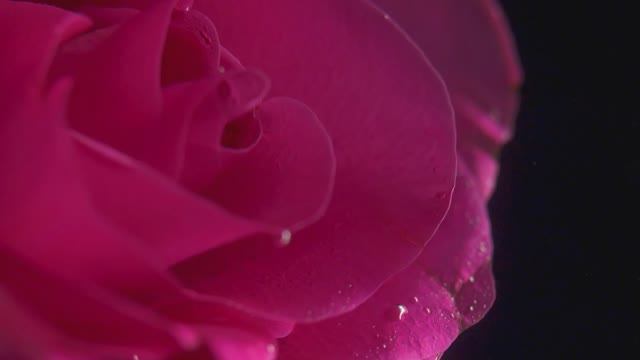 Расслабляющая музыка - Цветы