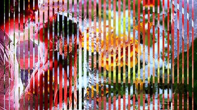 Редкие встречи