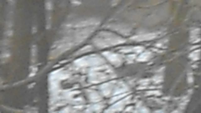 Белочка пришла 5349884135105