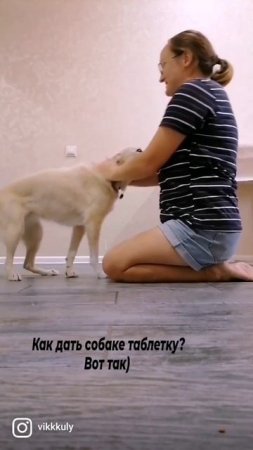 как дать собаке таблетку?