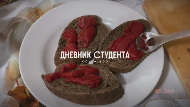 Томский влог: кошка, друзья и 10 часов болтовни