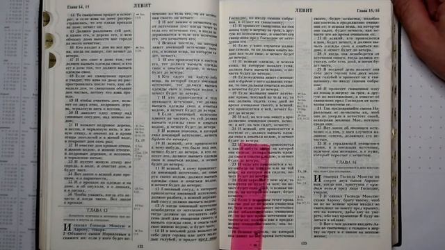 15 | Левит 15-я глава І Нечистоты у мужжин и женщин |
