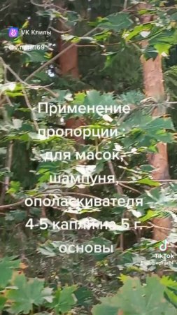 Применение масла сосны.