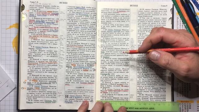 10. Исход 8 гл. Господь посылает 2, 3 и 4 казнь на Египет