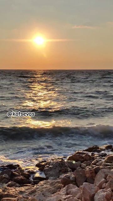 Чайки и море на закате  #чайки #море #закат #Черноеморе #крым