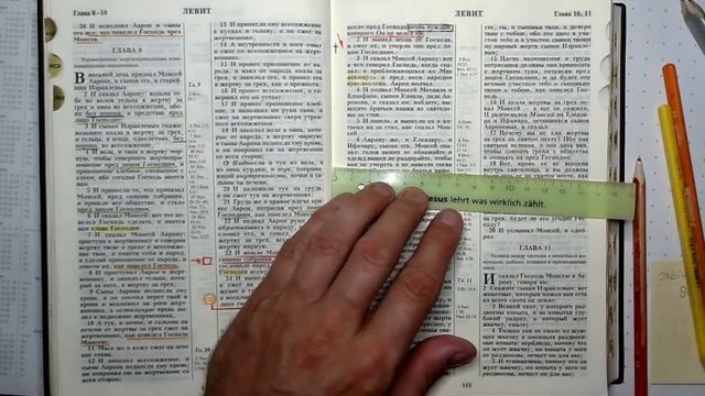 10 І Левит 10-я глава І Чуждый огонь Надава и Авиуда