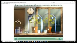 Опыт по доказательству необходимости углекислого газа для фотосинтеза (щелочь, уксус, сода)