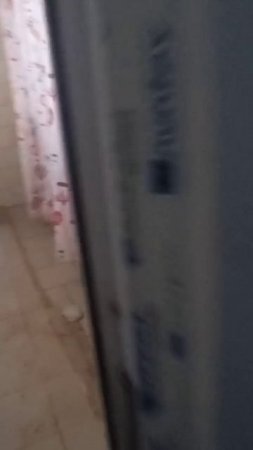 ПРОДАЁТСЯ ФЕРМА В СЕЛЕ ВЕСЁЛОЕ!!!! Звонить по телефону 8(905)173-62-48
