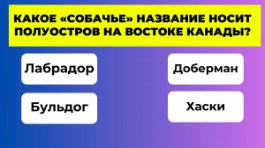 Вы умный? Викторина на знания #42