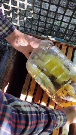 Выгоняем пчёлок с бутылки.