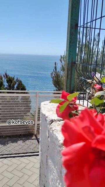 Роза и море #роза #море