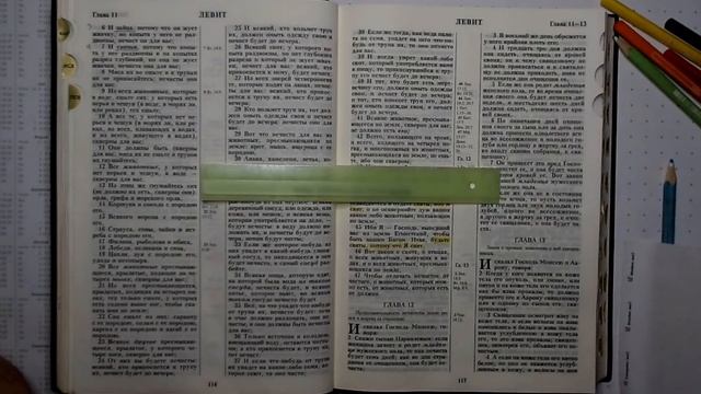 11 І Левит 11-я глава І Закон о чистых и нечистых животных