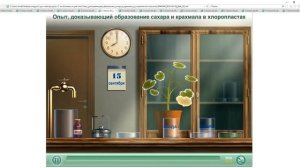Образование сахара и крахмала в хлоропластах