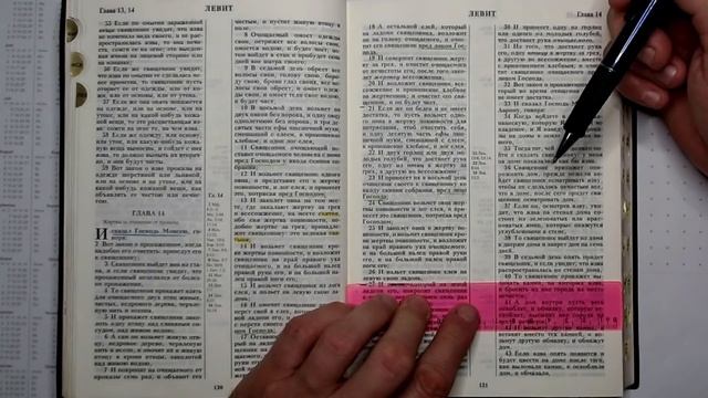 14 | Левит 14-я глава І Жертва за очищение от проказы |