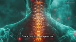 Что питает мозг?
