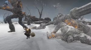 Дуэт Черных Рыцарей против Каждой пары - Elden Ring Shadow of the Erdtree. 
Elden Ring Fights.
