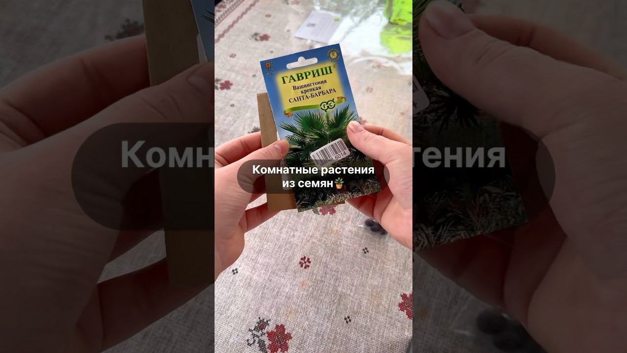 Комнатные растения из семян #жизньвдеревне #изгородавсело #комнатныерастения #зимнийогород