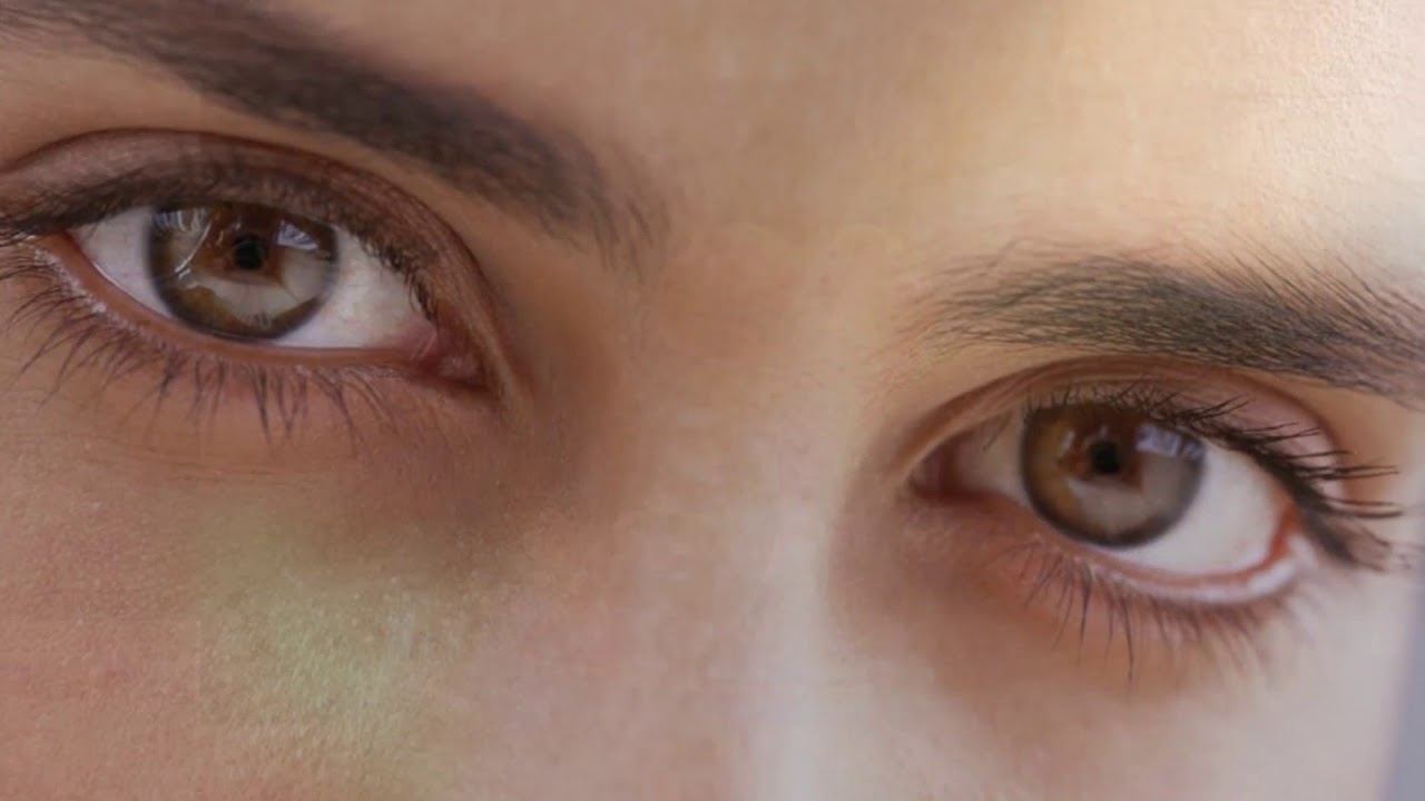 СЕРДЦЕ И РАЗУМ