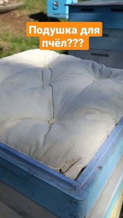 Подушка для пчёл??? Вы серьёзно?