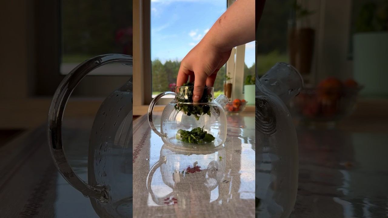 Чай из щавеля #щавель #чай #рецепт #изгородавсело #жизньвдеревне