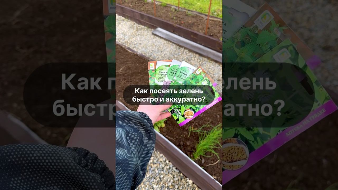 Лучший способ для посева зелени #изгородавсело #жизньвдеревне #рассада #зелень