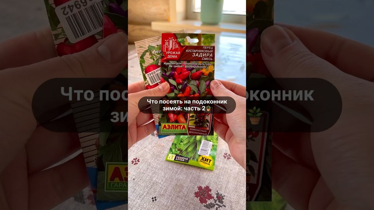 Что посеять на подоконнике зимой: часть 2 #изгородавсело #жизньвдеревне #комнатныйперец #огурцы