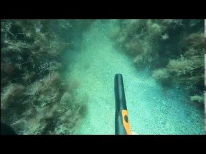 Пинпоинтер СФИНКС 01/02, тест в соленой воде с погружением. SPHINX 01/02 pinpointer water test.