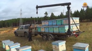 10 приемуществ пчелопавильона ТМ Ковчег