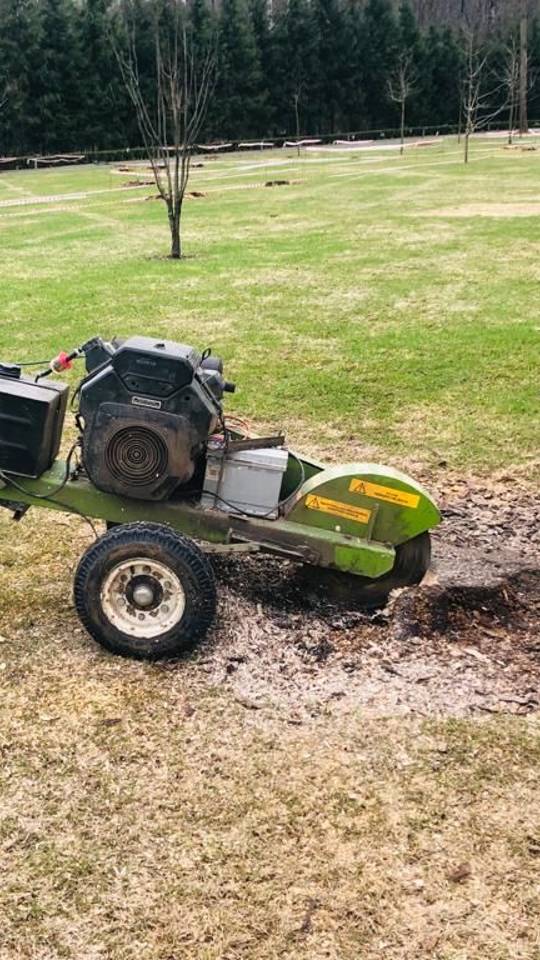 Аренда измельчителя пней Laski F450 | Аренда станков