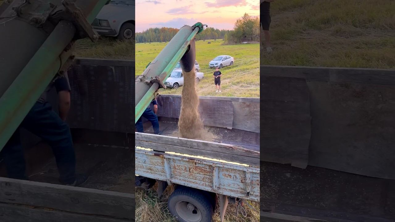 Осень в деревне