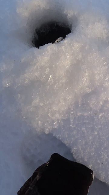 ПОКЛЕВКА ОКУНЯ! ПОЛОСАТЫЕ РАЗБОЙНИКИ СОБЛАЗНИЛИСЬ БАЛАНСИРОМ LUCKY JOHN!