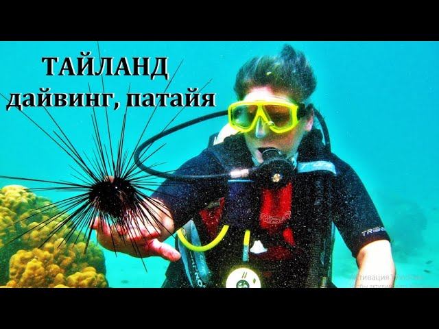 ТАЙЛАНД. Дайвинг, Паттайя.