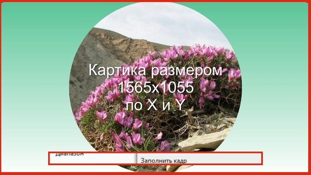 Свойства - заполняемость кадров.