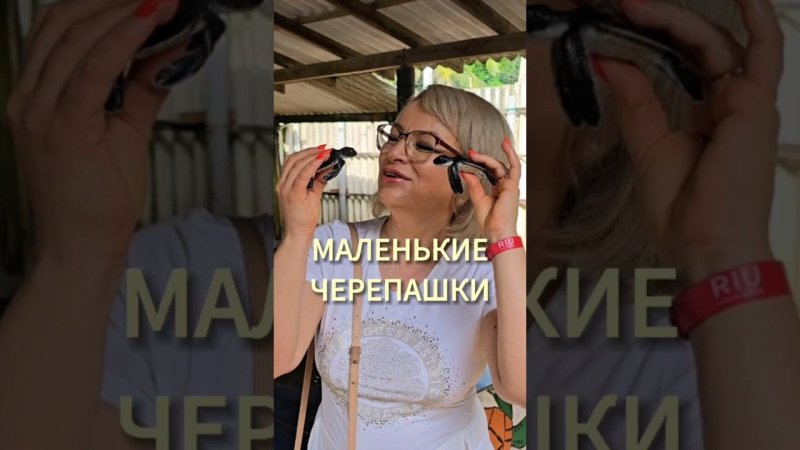 Маленькие морские черепахи #путешествия #отдых #черепаха