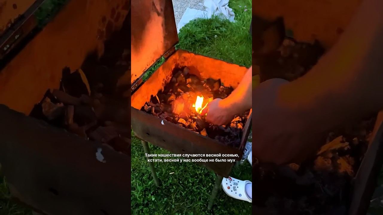 инст: isgorodavselo