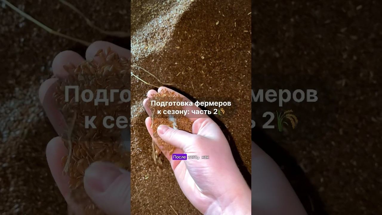 Подготовка фермеров к сезону: 2 часть #изгородавсело #жизньвдеревне #сельскоехозяйство