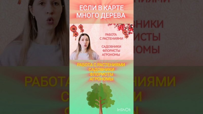 #бацзы #китайскаяметафизика #астрологбацзы #китайскаяастрология #астрологиябацзы #гороскоп #sports