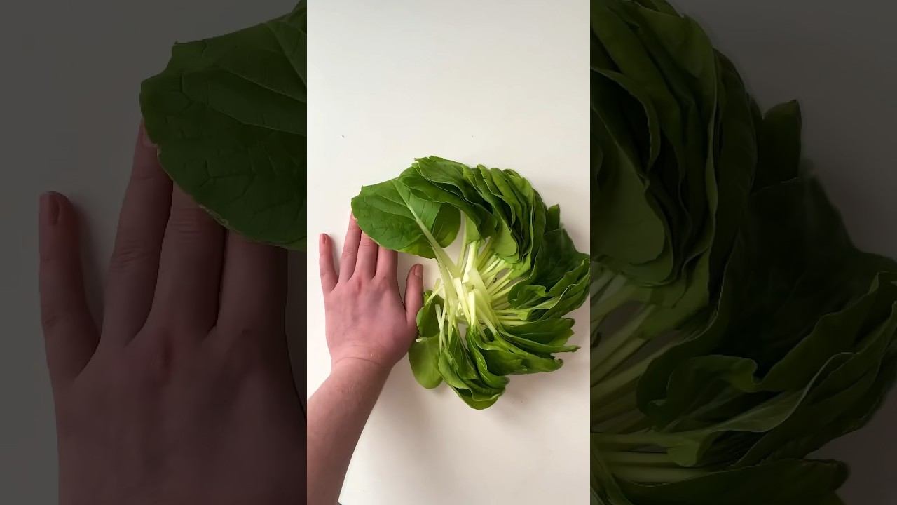 Эксперимент по выращиванию Пак-Чой на подоконнике: итоги! #пакчой #капуста #огороднаокне #рассада