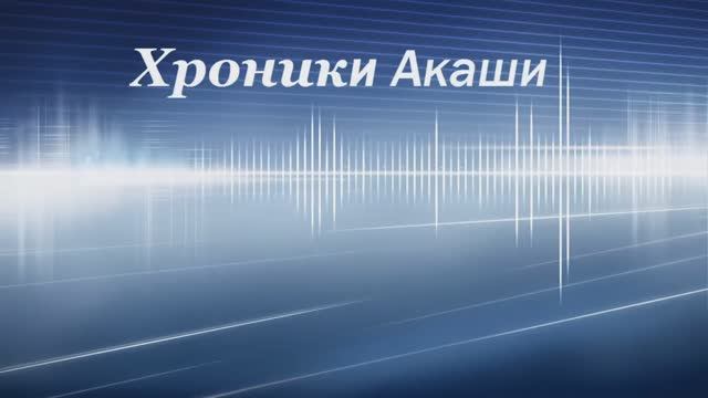 Хроники Акаши.  Продолжение удивительных путешествий в Тонкий мир.