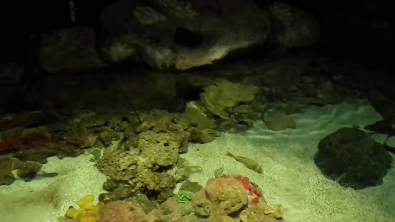 питер 2015_осень_DSCF2283