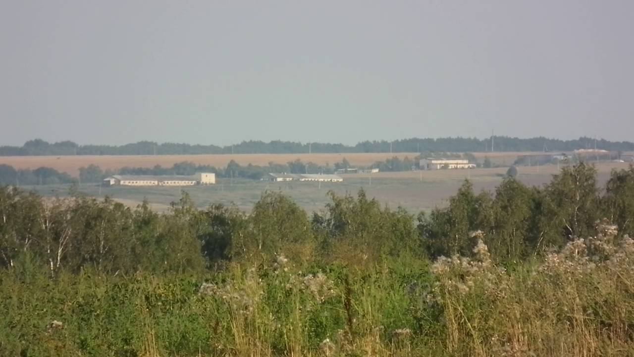 лазазей 2016_лето_DSCF2001 2