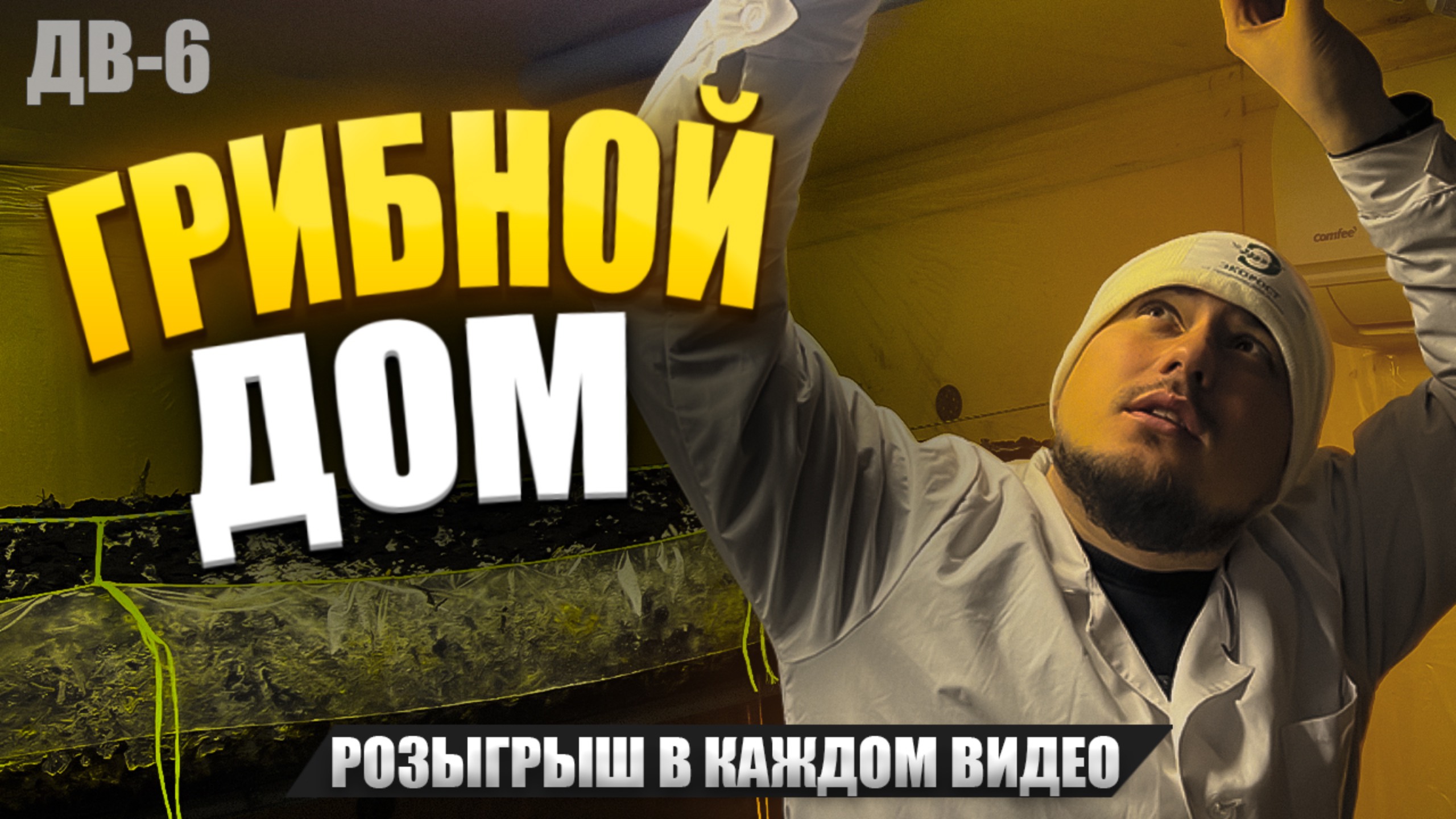 ГРИБНОЙ ДОМ | СПОРТ | МАХАЧКАЛА | ДВ 6