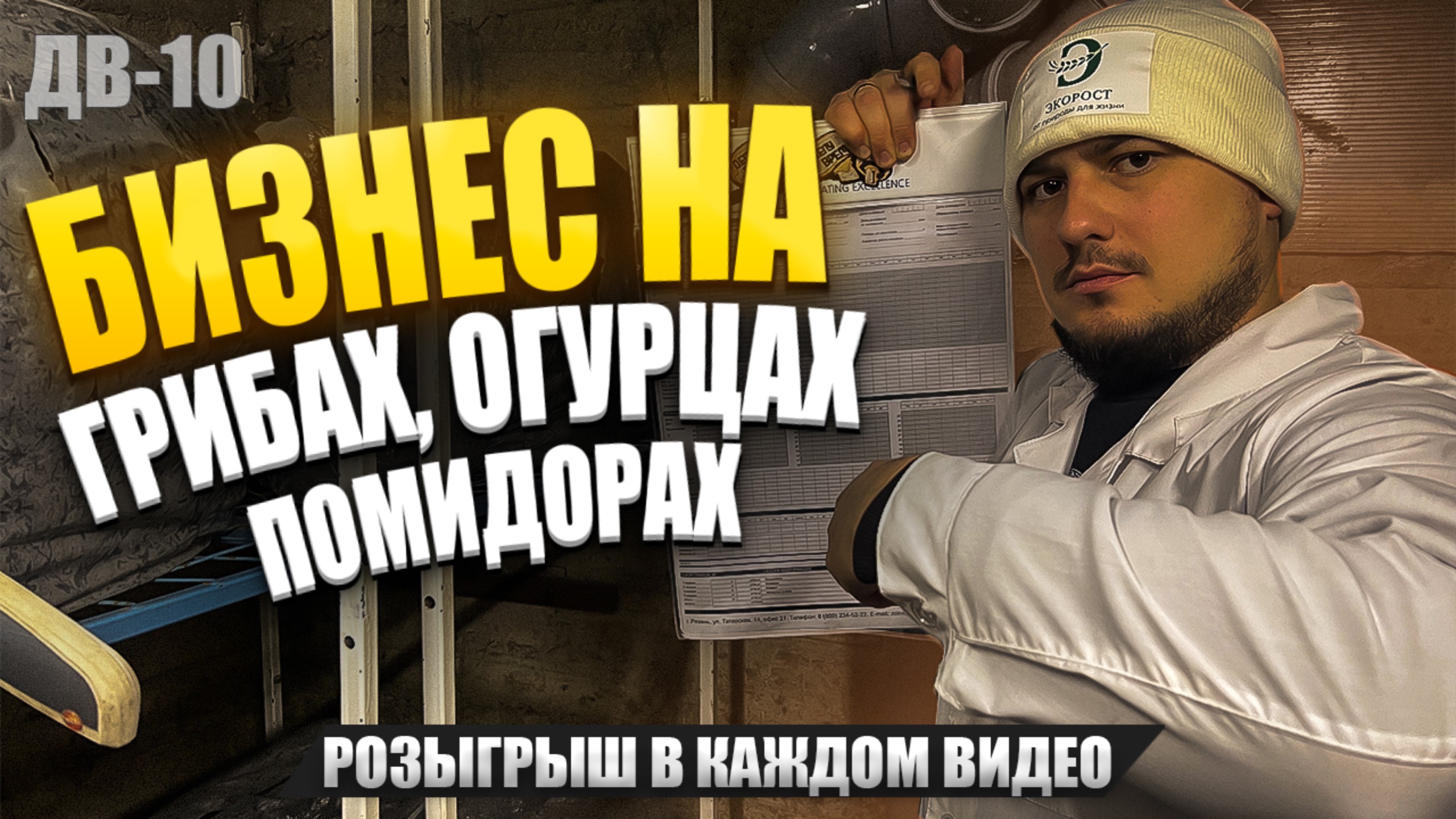 БИЗНЕС НА ГРИБАХ, ОГУРЦАХ И ПОМИДОРАХ | ДВ 10