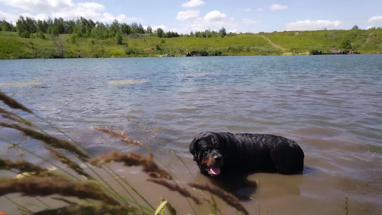 Я В ШОКЕ ❗❗❗ УШЕЛ ПОД ВОДУ