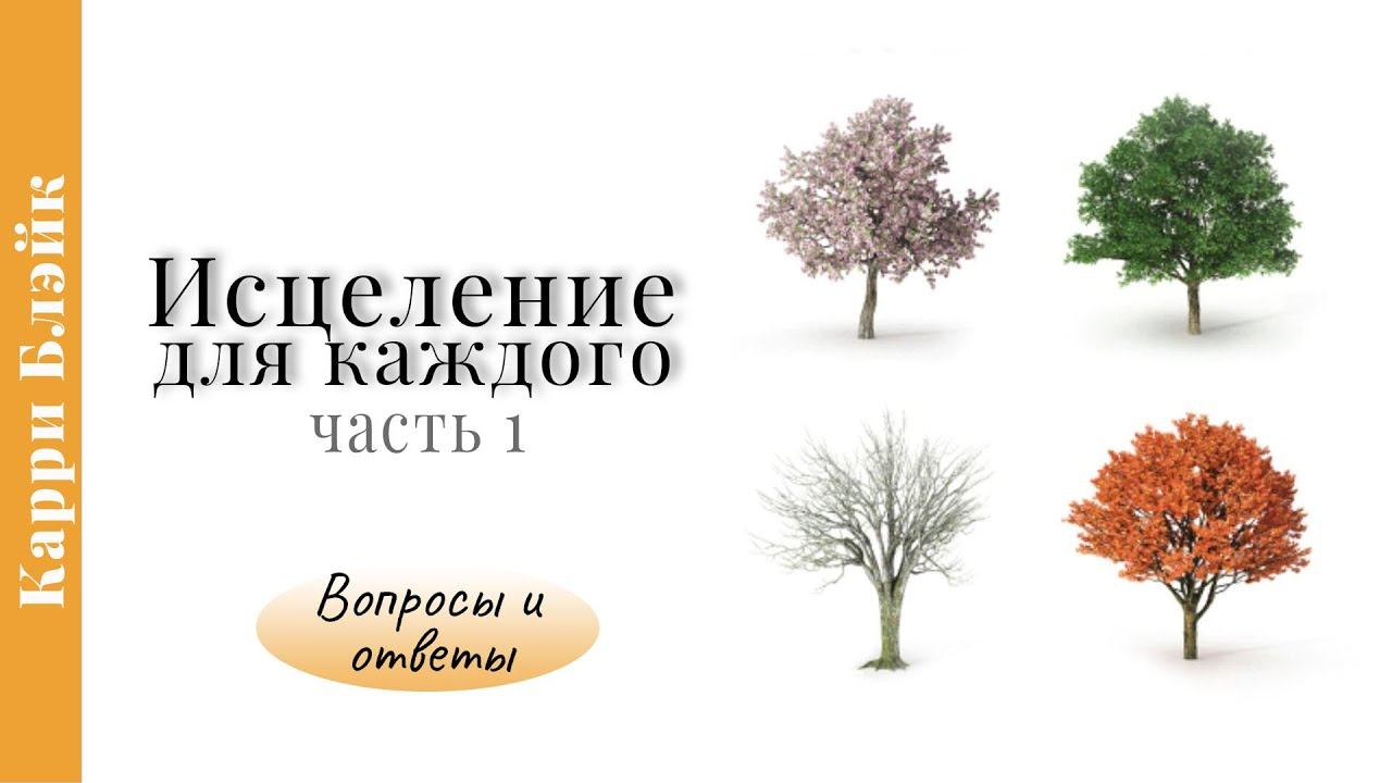 Вопросы и ответы. Исцеление для каждого. Карри Блейк